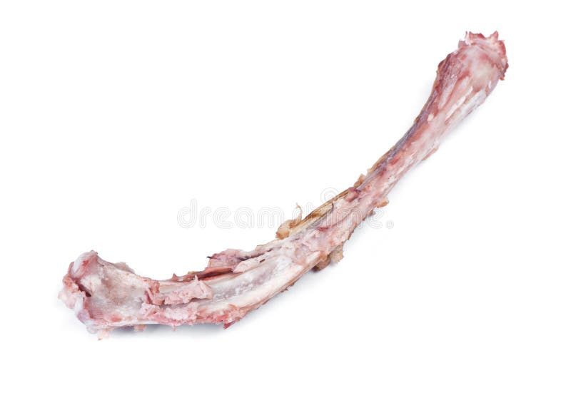 Single bone with flesh stock image. Image of rack, meat - 143349895
