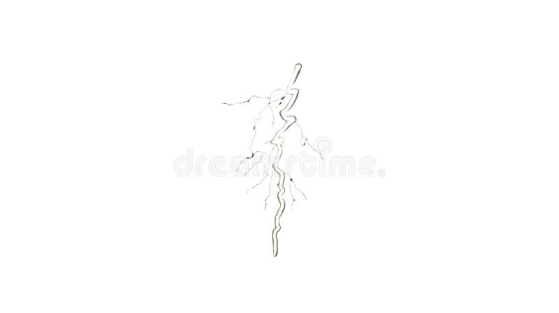 Single Bright Lightning Bolt with Detailed Branches Against a Solid ...