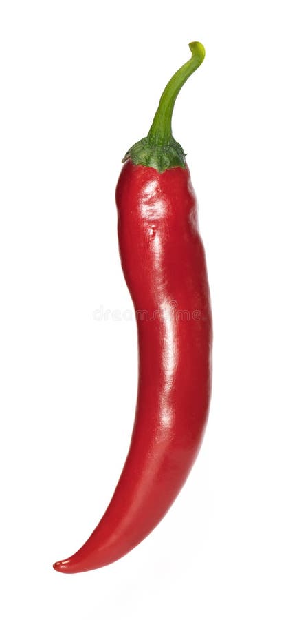 Single Bright Ripe Red Chili Pepper White Stock Image - Image of ...