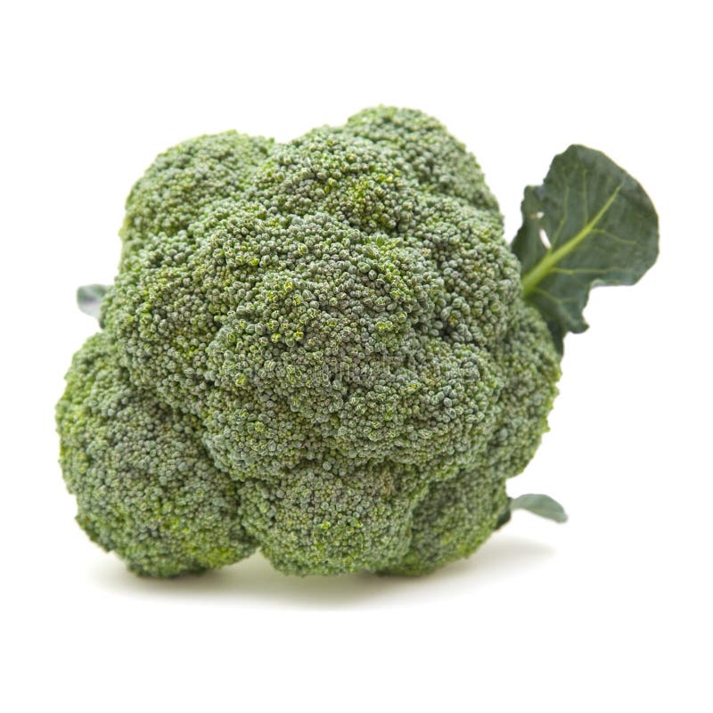 Single broccoli head stock image. Image of food, healthy - 11669619