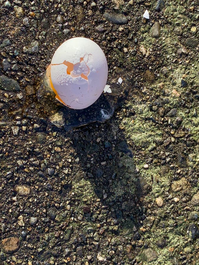 Single Broken Egg on the Sidewalk Stock Image - Image of oval, waste ...
