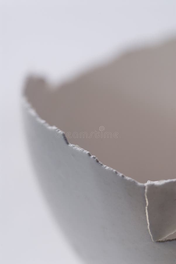 Broken eggshell #4 stock image. Image of broke, bird, detail - 256369