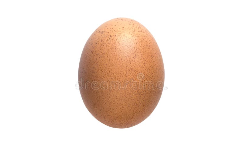 Single Brown Chicken Egg Isolated on White Stock Image - Image of ...