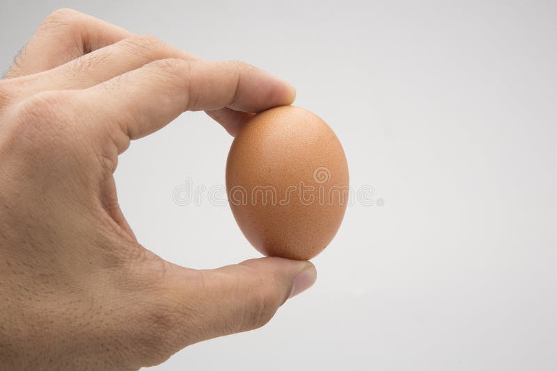 Single Brown Chicken Egg Isolated on White Stock Photo - Image of ...