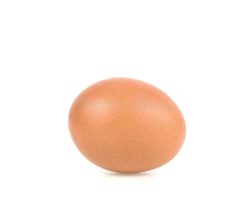 Single Brown Chicken Egg Isolated on White Stock Photo - Image of ...