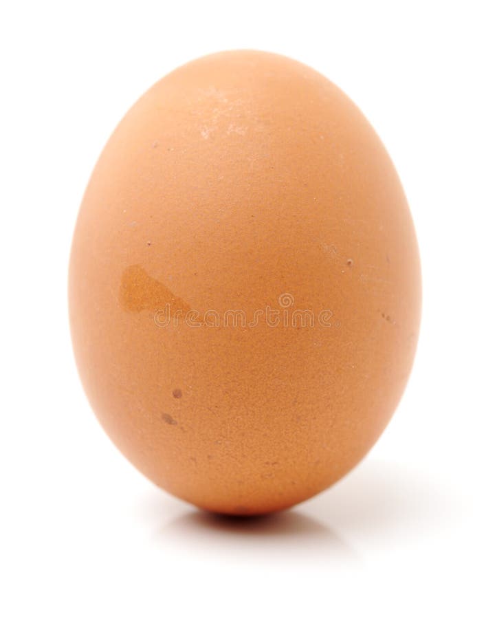 Single brown chicken egg stock photo. Image of macro - 66564064