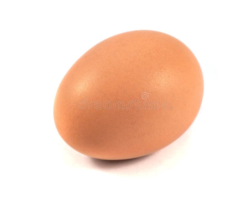 Single Brown Chicken Egg Isolated on White Stock Image - Image of ...