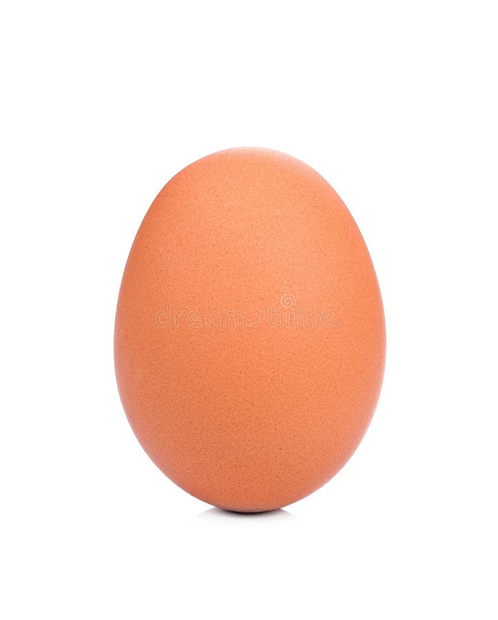 Single Brown Chicken Egg Isolated on White Stock Photo - Image of life ...