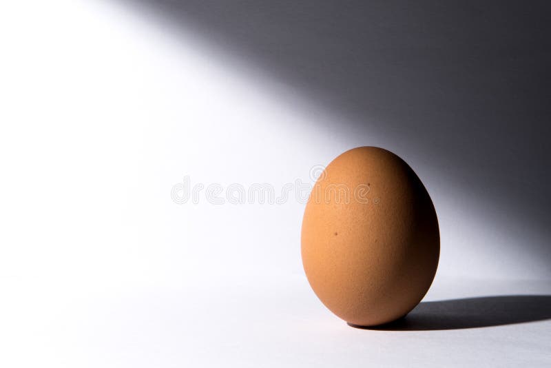 Single Brown Chicken Egg Isolated on White Background. Shadow and Light ...