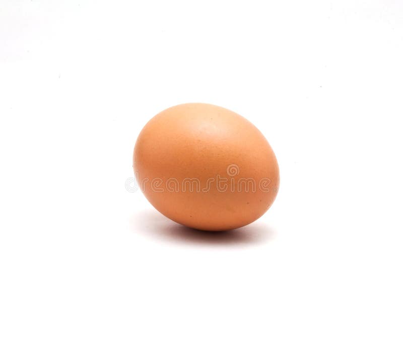 Single Brown Chicken Egg Isolated on White Stock Image - Image of ...