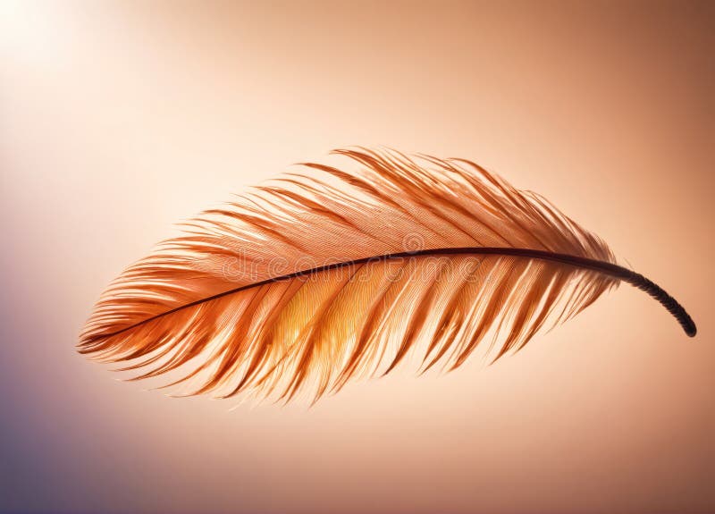 Delicate Brown Feather Floating Against Soft Gradient Background at ...
