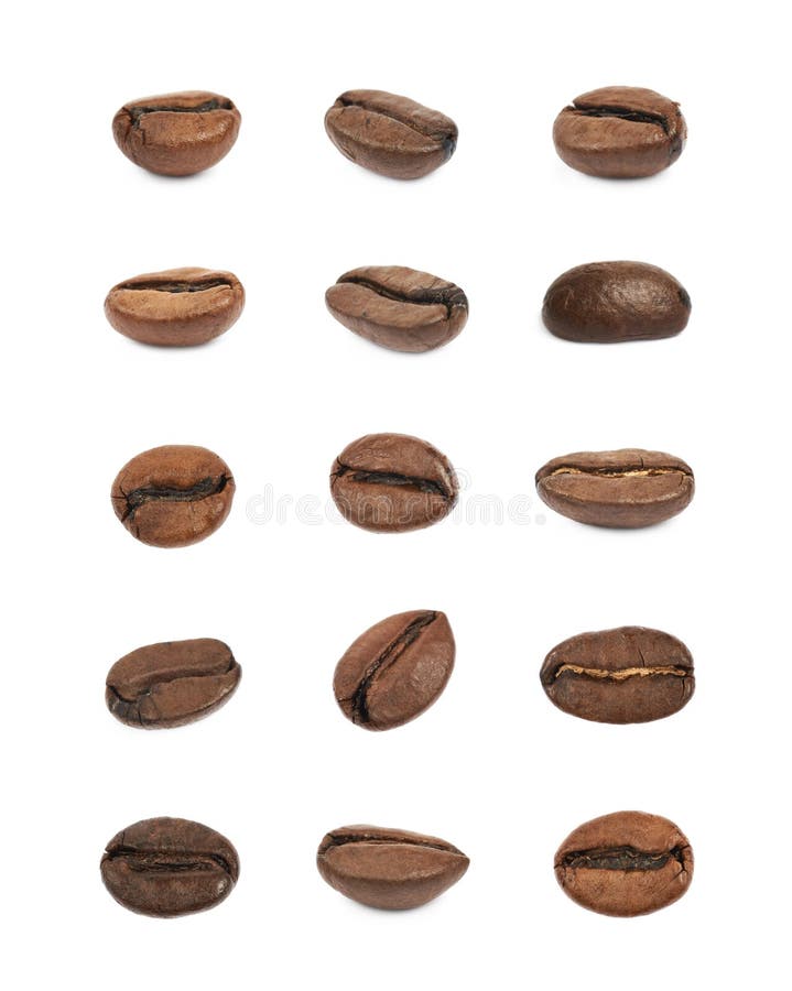 Single Coffee Bean Isolated Stock Photo - Image of black, macro: 107562362 Single Coffee Bean Isolated Stock Photo - Image of black, macro: 107562362