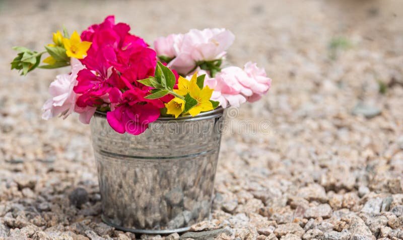A Single Bucket Full of Flowers in Nature Stock Image - Image of pink ...