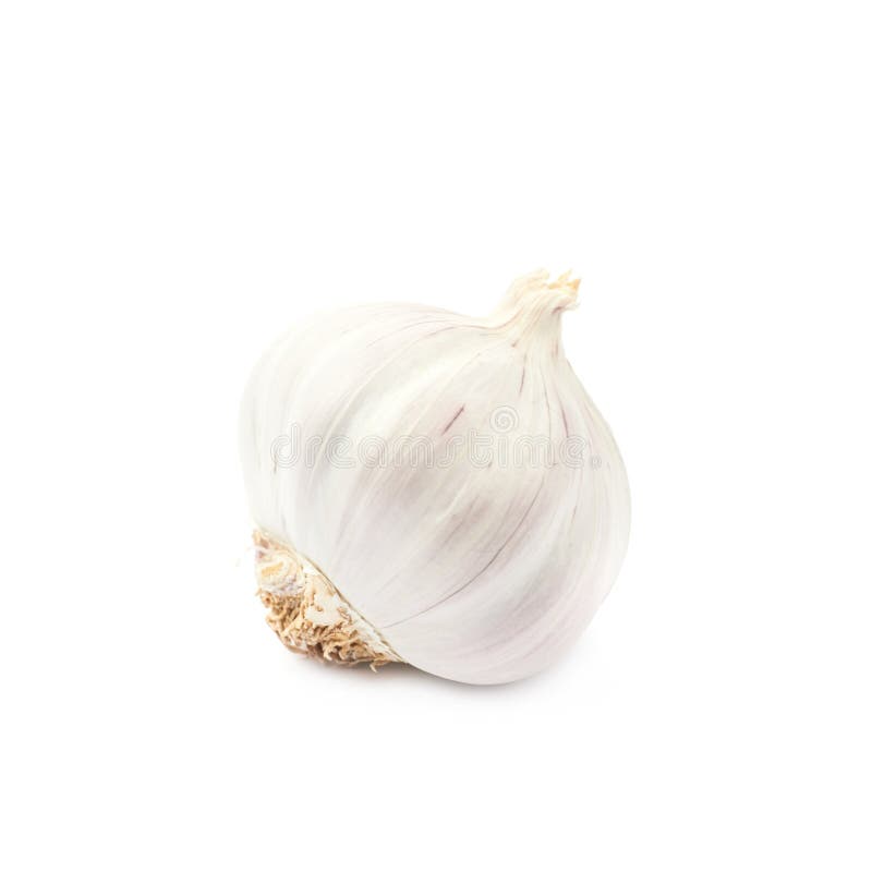 Single Bulb of Garlic Isolated Stock Image - Image of natural, relish ...