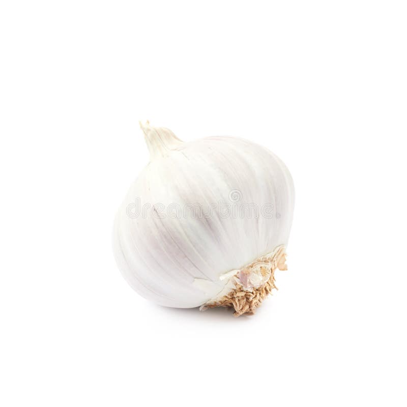 Single Bulb of Garlic Isolated Stock Image - Image of natural, relish ...