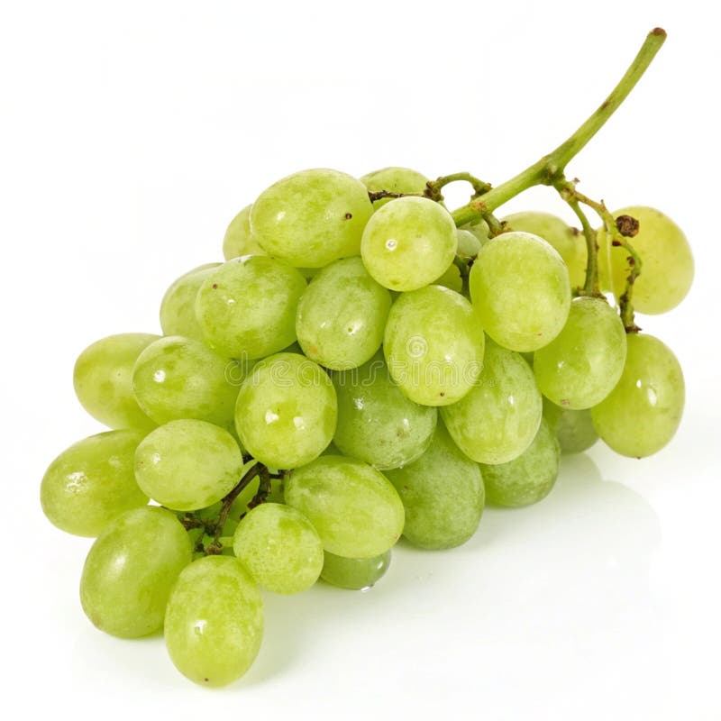 A Single Bunch of Green Grapes Isolated on White Background Stock ...
