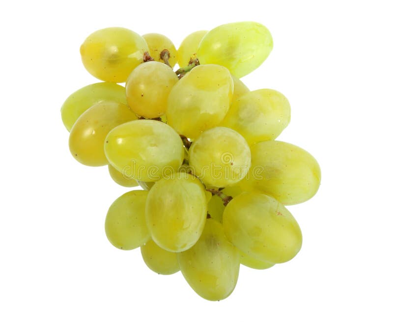 Single Grape on the Stem stock image. Image of grapes - 15052659