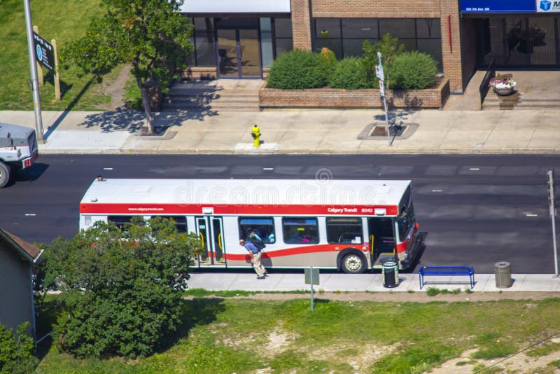 A Single Bus from Calgary Transit on a Stop Bus on a Main Street ...