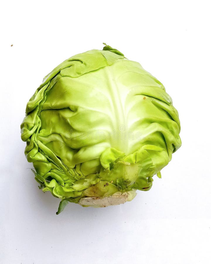 Single cabbage captured stock photo. Image of herb, dish - 211152236