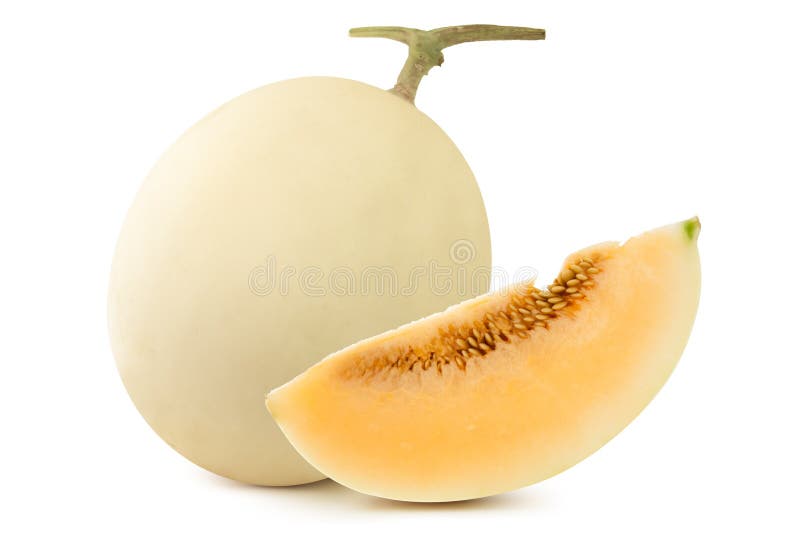 Single Cantaloupe Melon stock image. Image of nutrition - 11621275