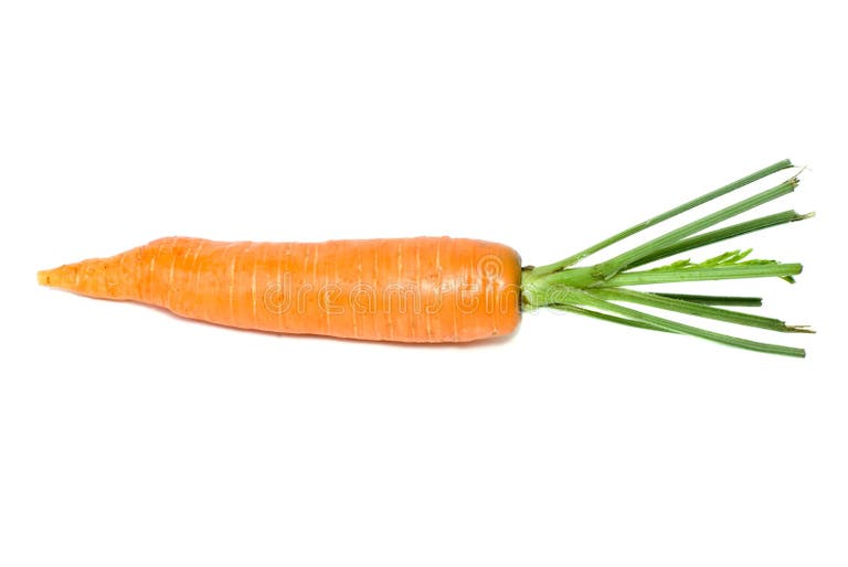 8,362 Single Carrot Stock Photos - Free & Royalty-Free Stock Photos ...