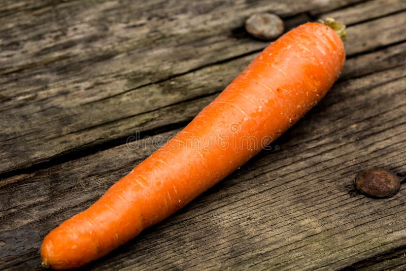 Single Carrot Stock Photos - Download 4,687 Royalty Free Photos