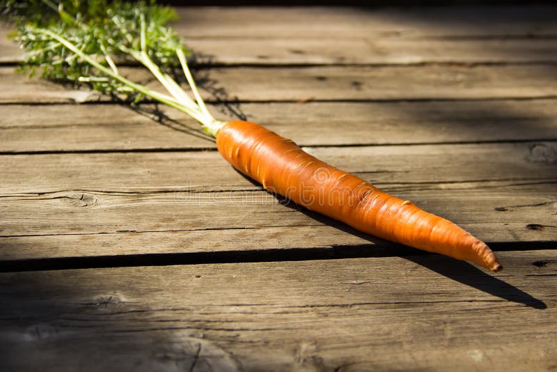 6,844 Single Carrot Stock Photos - Free & Royalty-Free Stock Photos ...