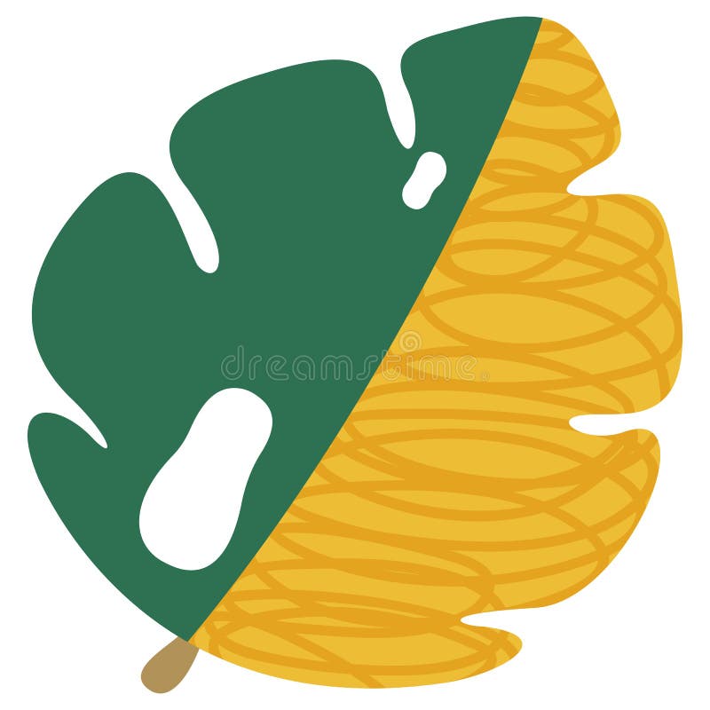 Single Cartoon Stylized Leaf of Monstera Deliciosa Stock Vector ...