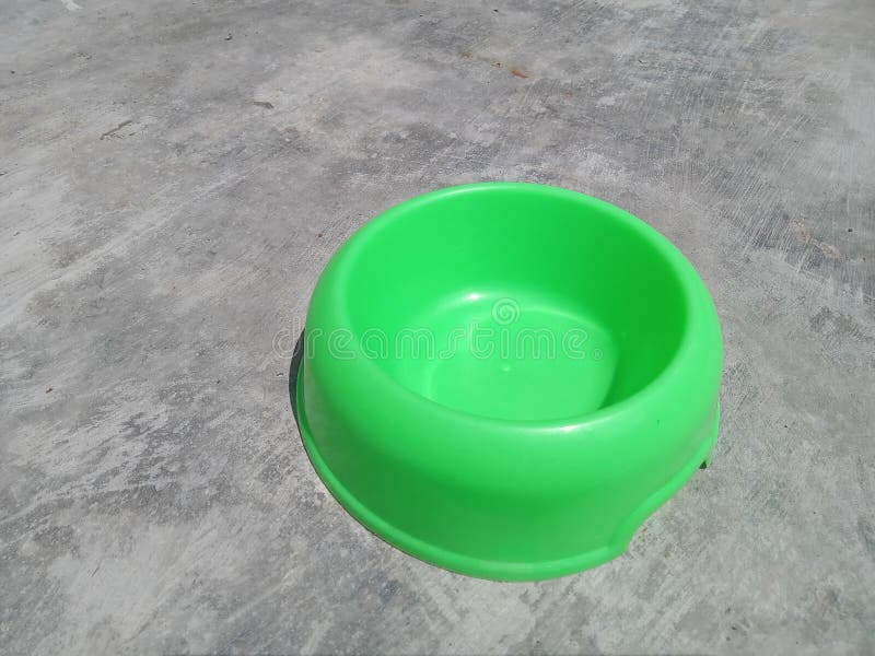 Single Cat Feeding Place for Pets at Home Stock Image - Image of single ...