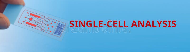 Transcriptomics Stock Photos - Free & Royalty-Free Stock Photos from ...