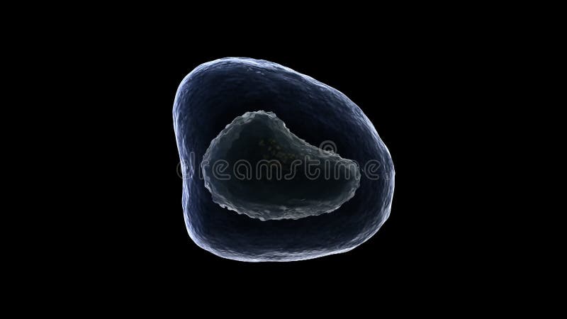 A Single Cell Animation Alpha Channel Science,hd Stock Footage - Video ...