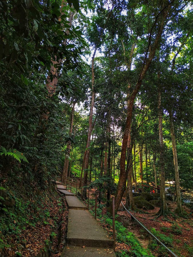 Single Cement Trail before Get the Top of Hill Stock Image - Image of ...