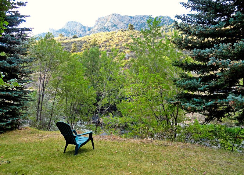 Single Chair in a Forest Surrounded by Beautiful Green Trees Stock ...