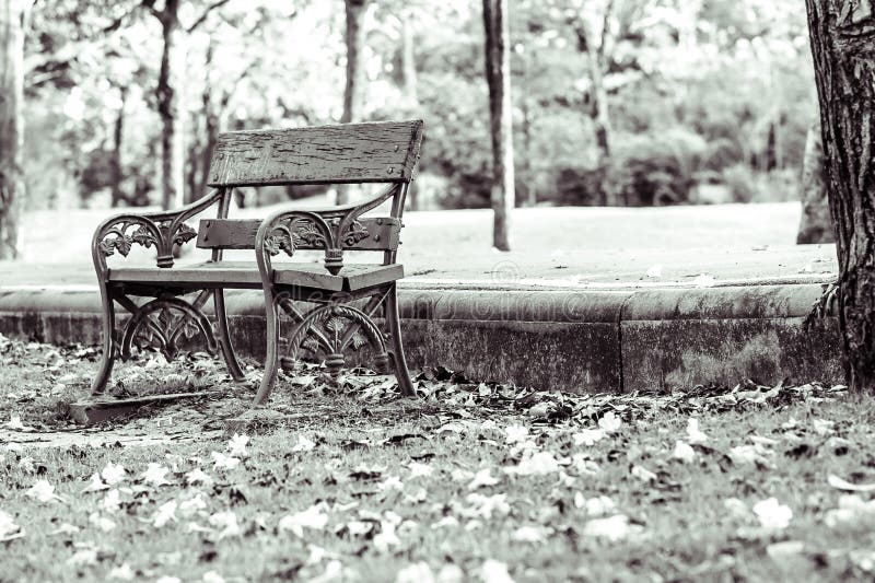 A single chair stock photo. Image of fall, furniture - 94926294