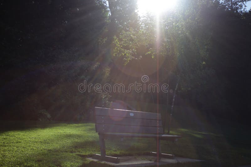 Single Chair in the Park in the Evening Light Stock Image - Image of ...