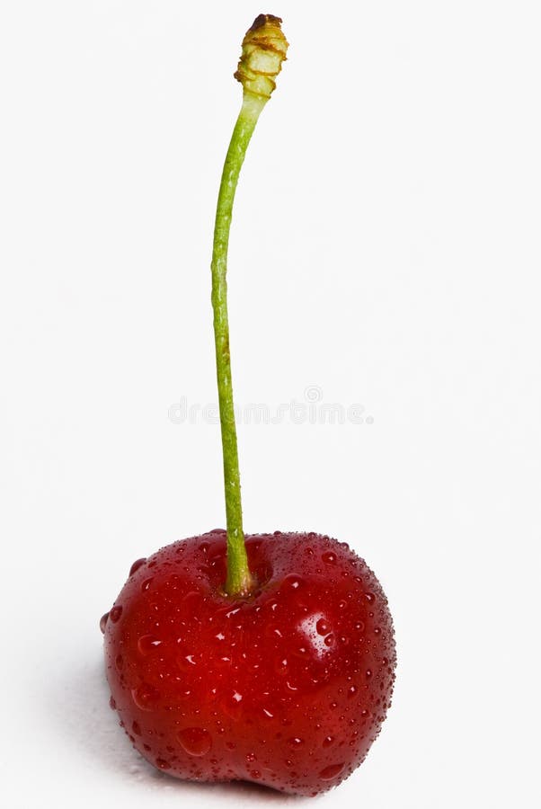Red cherry stock photo. Image of cherry, ecology, food - 4074142