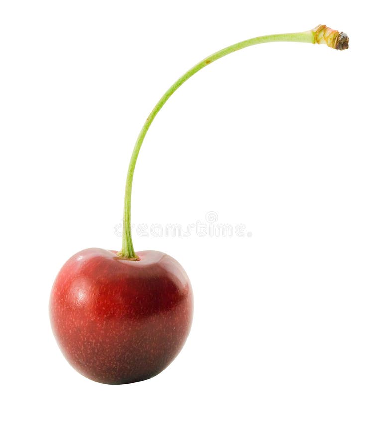 Cherry stock photo. Image of diet, form, flavor, grocery - 2535220