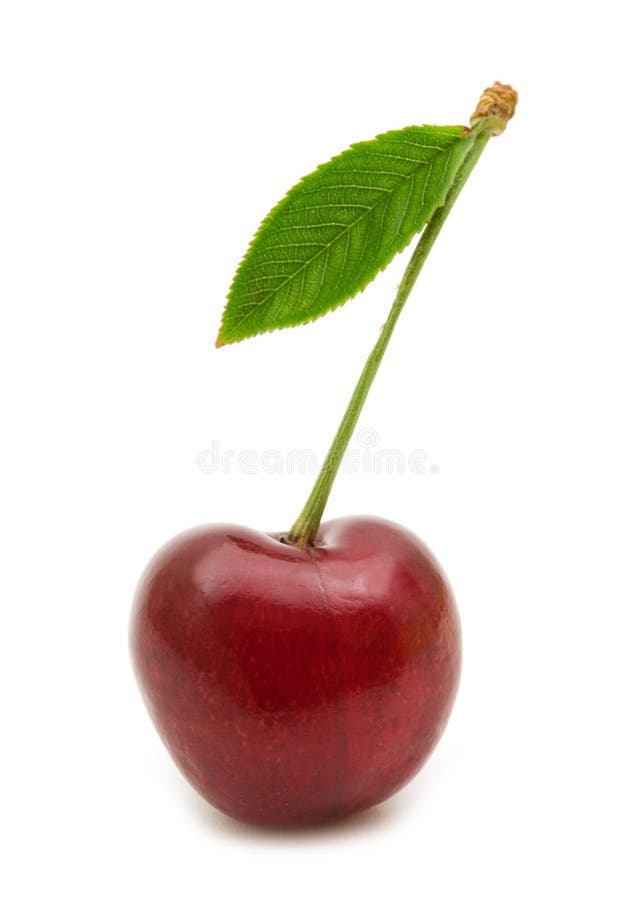 Cherry stock image. Image of healthy, nutrition, taste - 1775045