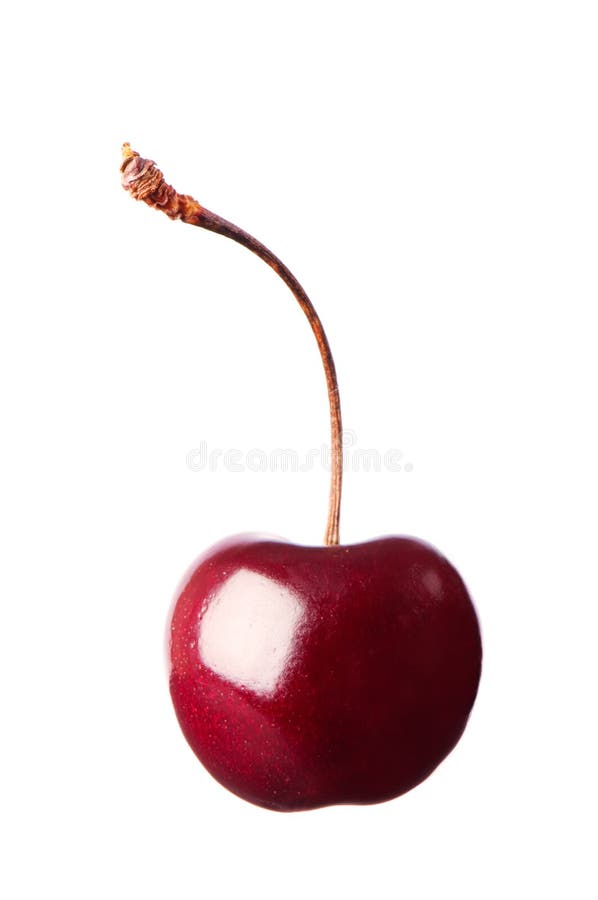 Single red cherry stock photo. Image of stem, ripeness - 19989670