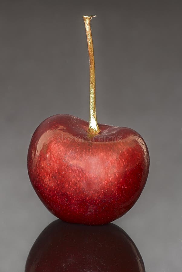 23,412 Single Cherry Stock Photos - Free & Royalty-Free Stock Photos ...