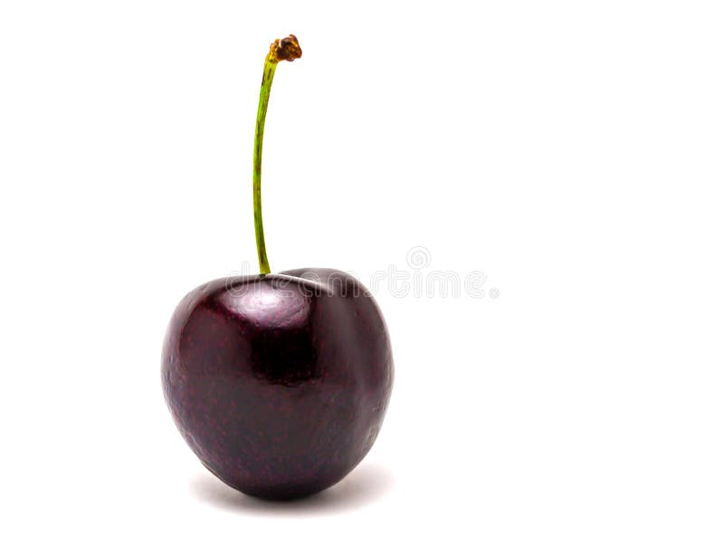 23,412 Single Cherry Stock Photos - Free & Royalty-Free Stock Photos ...