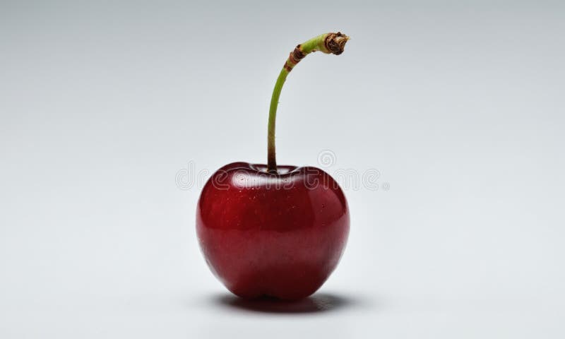 Single Red Cherry Isolated on a White Background Stock Illustration ...