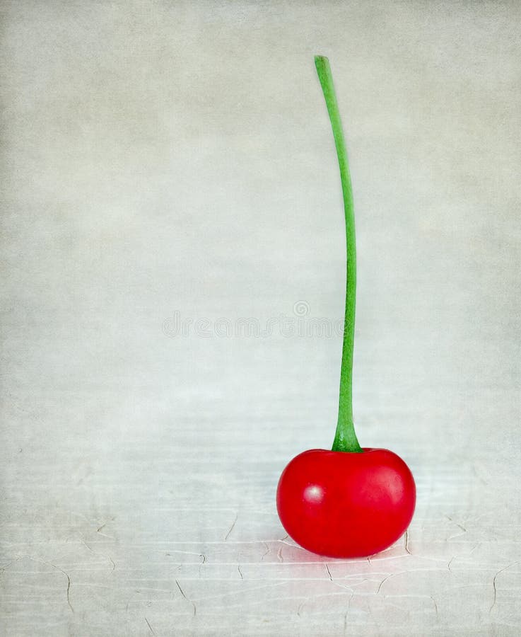 Single Cherry on a Rustic Textured Background Stock Photo - Image of ...