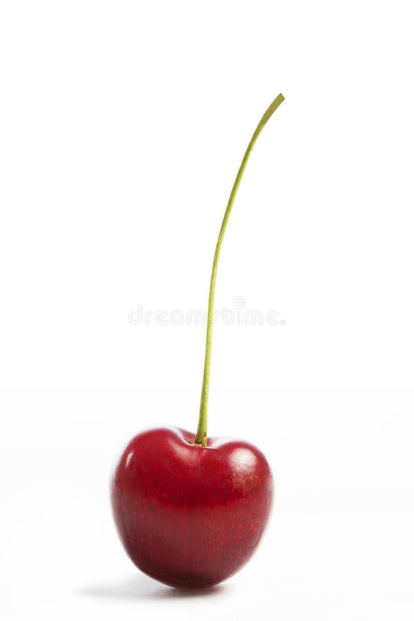 One cherry stock photo. Image of fruit, stem, check, gingham - 10017166