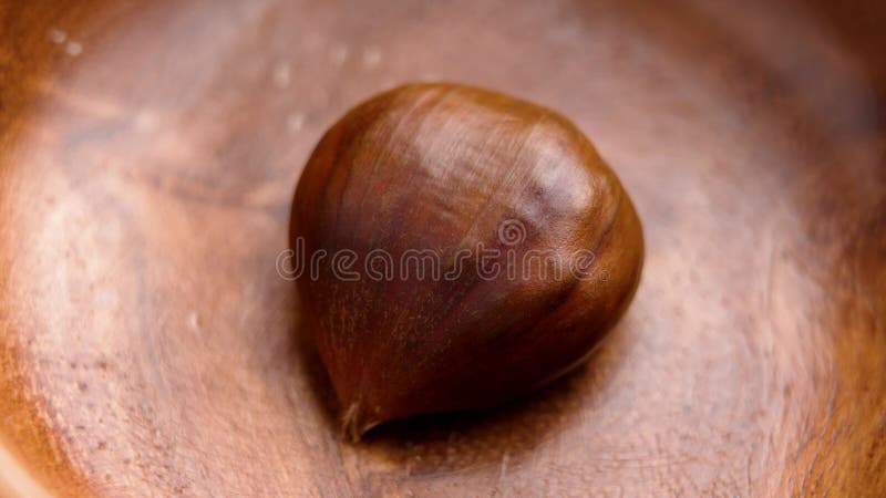 Single Chestnut in Rustic Wooden Bowl. Raw Uncultivated Nut with Brown ...