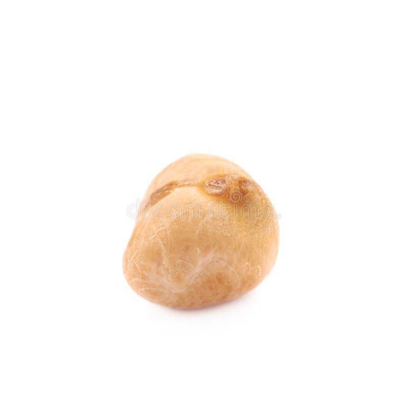Single chick pea isolated stock photo. Image of harvest - 120446334