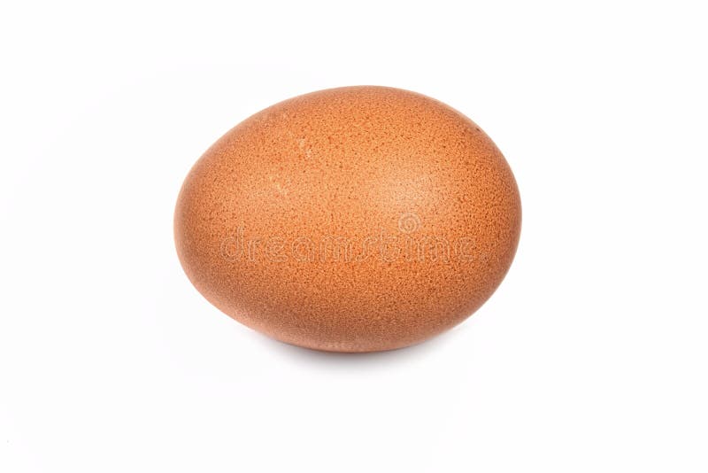 Single Chicken Mortadella Slice Isolated on White Background Stock ...