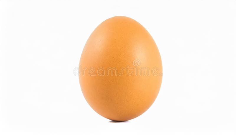 Single Chicken Egg Isolated on White Background Stock Illustration ...