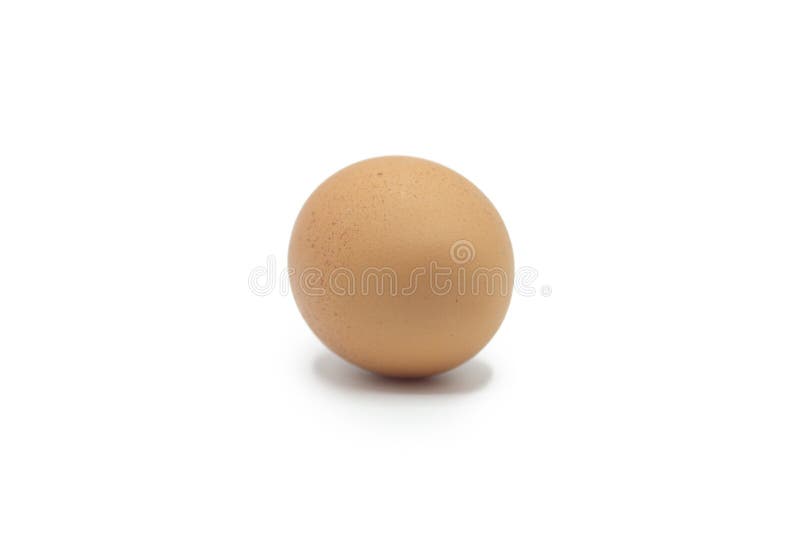 Single Egg Isolated on White Stock Image - Image of horizontal, poultry ...