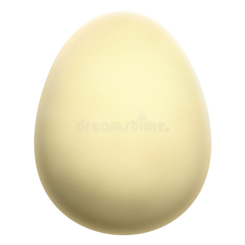 Single Chicken Egg Isolated on White Stock Photo - Image of protein ...